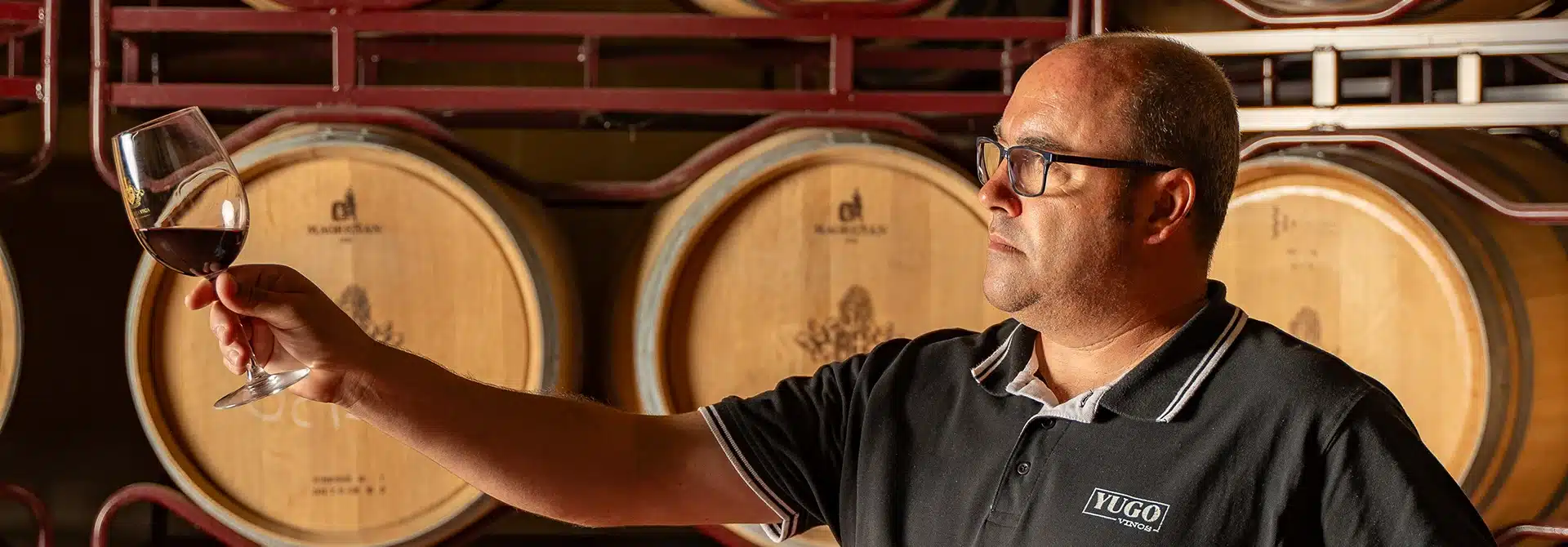 Origen del vino y su apasionante historia | Bodegas Crisve